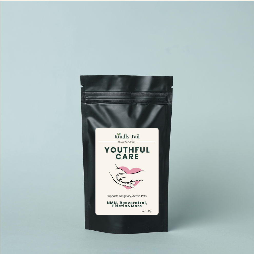 Youthful Care Blend For Dog and Cat with NMN, Resveratrol, Fisetin& Mo ...